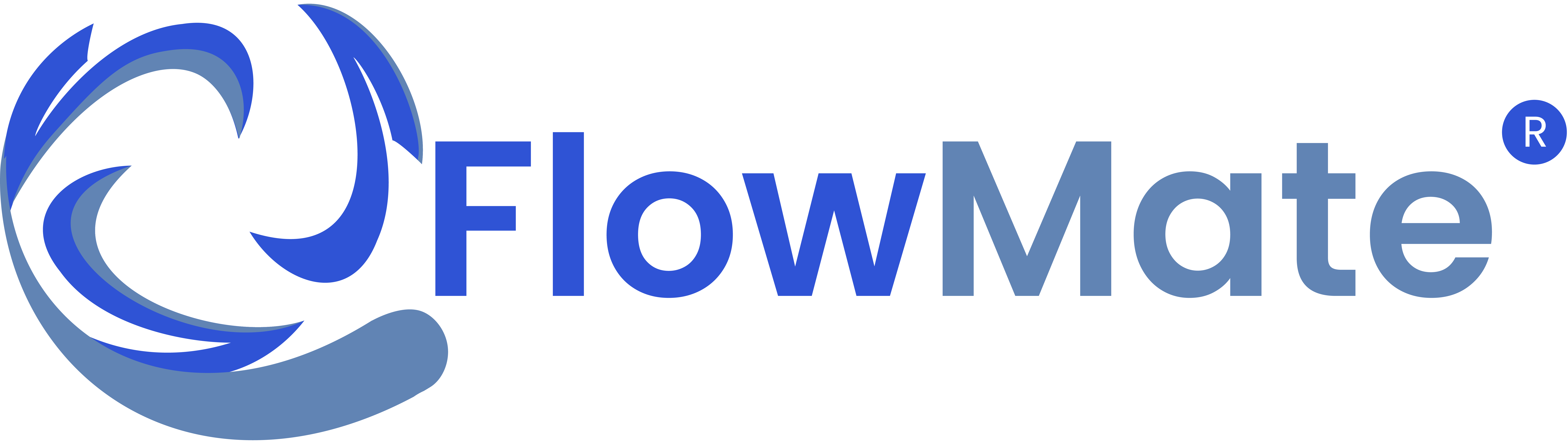 FlowMate Endüstriyel Dozaj Pompası